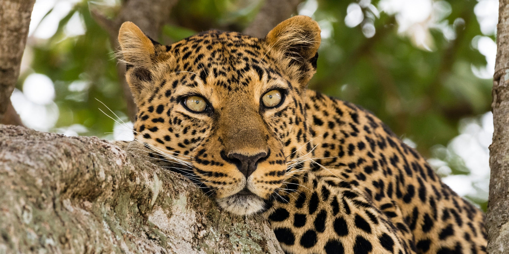 E-billet Zoo de la Barben enseignants - Ekoya